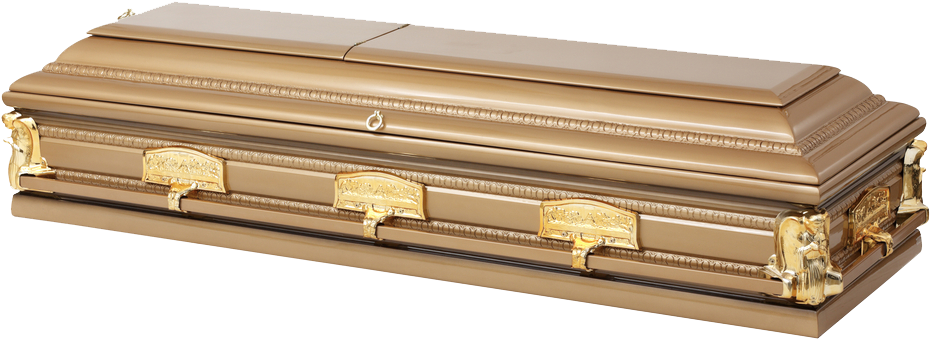 Modern Casket Coffin - Modern Coffin Clipart - Large Size Png Image ...