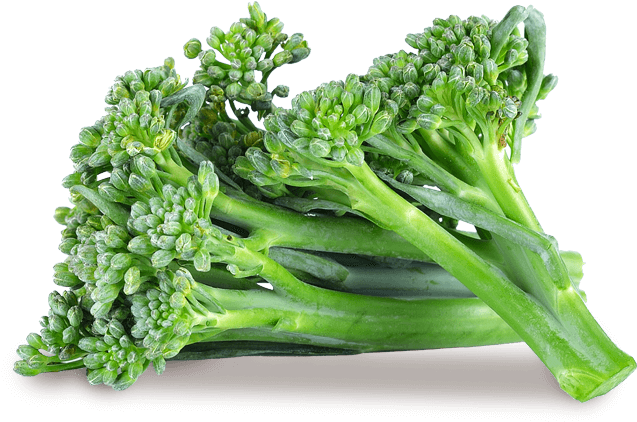 Baby Broccoli - Broccoli Clipart - Large Size Png Image - PikPng