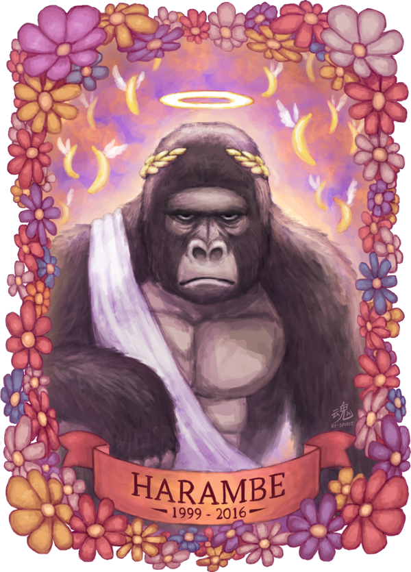 Harambe Png - Harambe Fanart Clipart - Large Size Png Image - PikPng