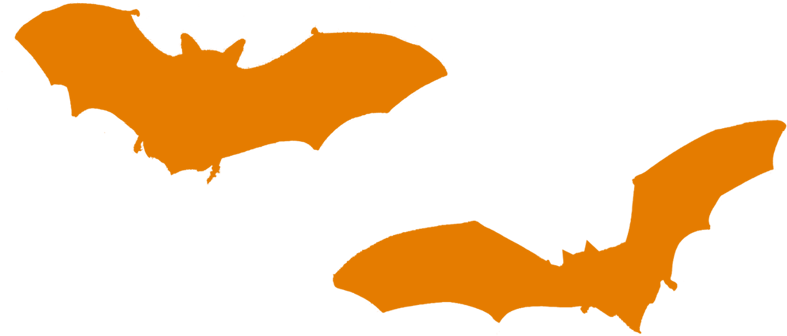 Bat Graphic - Orange Bat Png Clipart - Large Size Png Image - PikPng