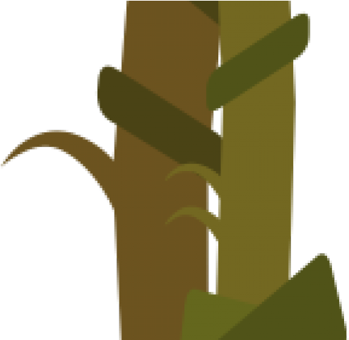 Vines Clipart Rope - Cactus - Png Download - Large Size Png Image - PikPng