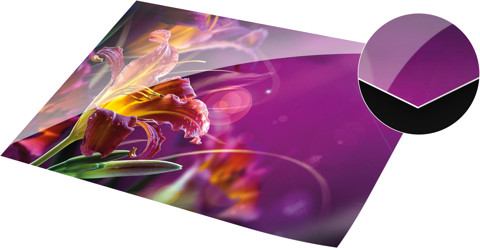 The Fujicolor Fujiflex Photo Paper Is Made Of 100% - Graphic Design ...