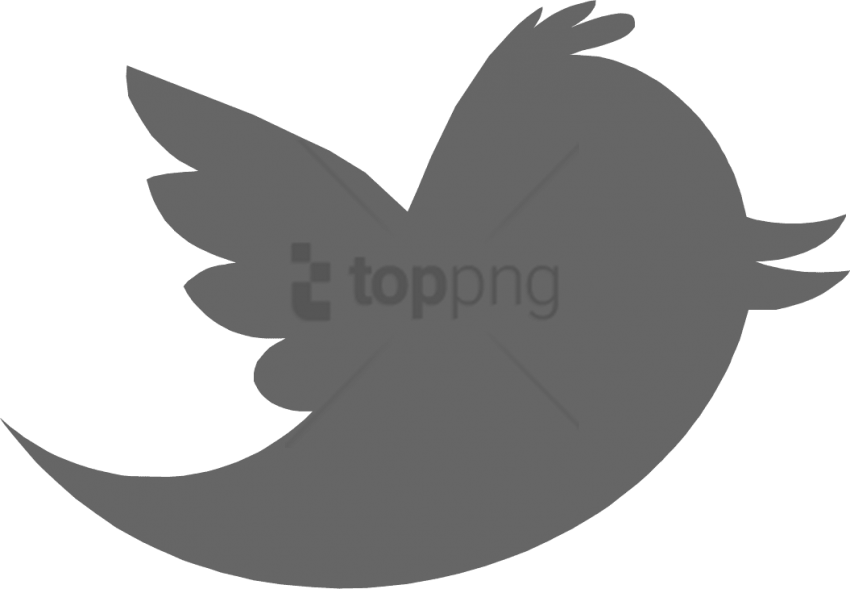 Free Png Download Twitter Logo Gray Png Images Background - Twitter ...