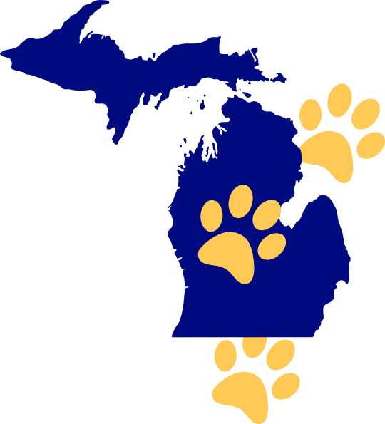 State Of Michigan Transparent Clipart - Large Size Png Image - PikPng