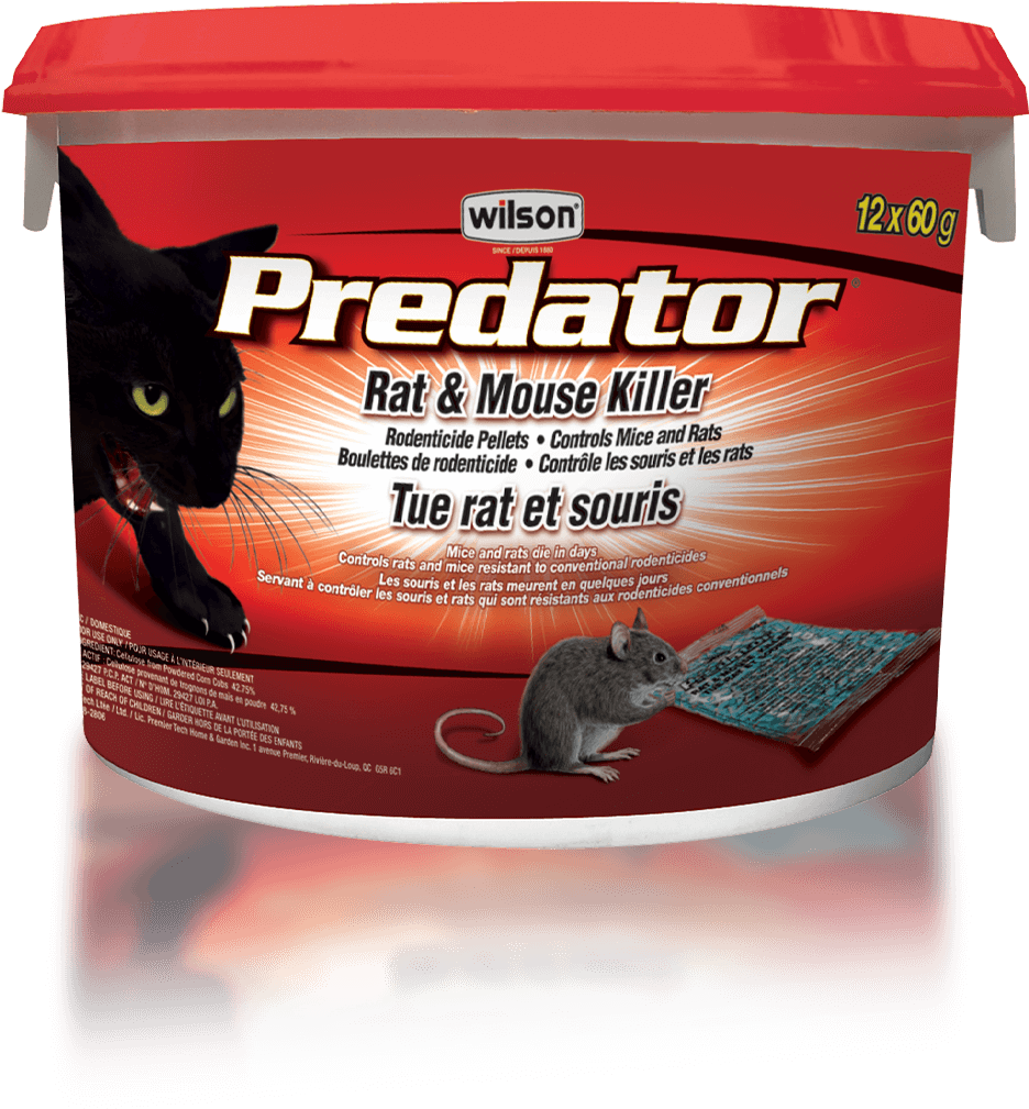 Wilson Predator Rat Mouse Killer Pellets - Rat Clipart - Large Size Png ...