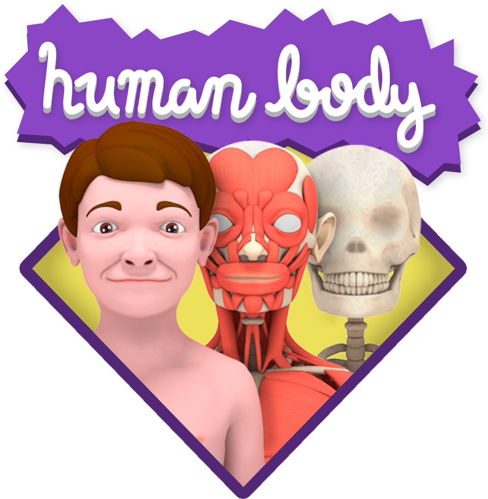 Human Body Png Clipart Large Size Png Image PikPng Human Body Png Clipart Large Size Png Image PikPng