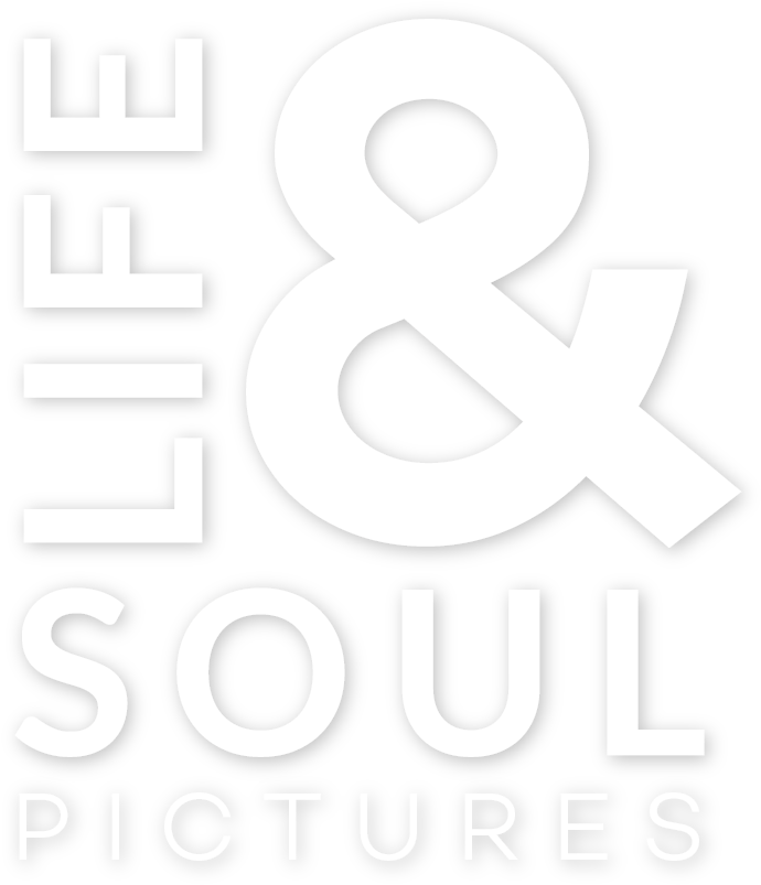 Life & Soul Pictures - Poster Clipart - Large Size Png Image - PikPng