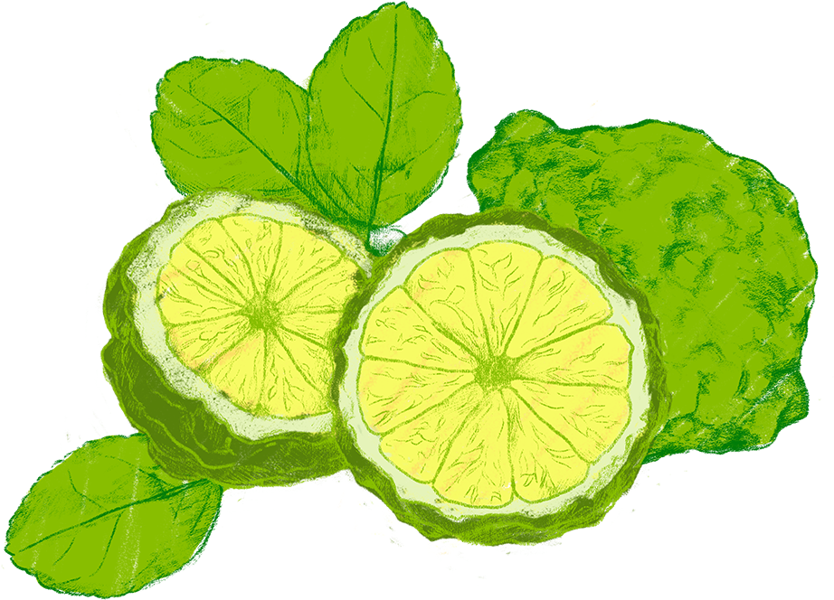 Bergamot Clipart - Large Size Png Image - PikPng