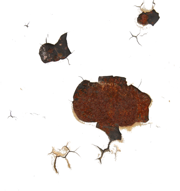 Download Rusted Decals - Brush-footed Butterfly Clipart Png Download ...