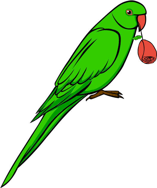 Parrot Bird Clipart Free Download Best Parrot Bird - Png Download ...