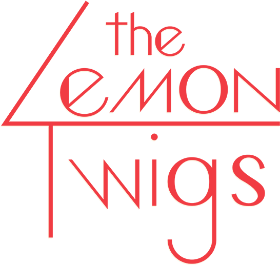 Twigs Png Clipart - Large Size Png Image - PikPng