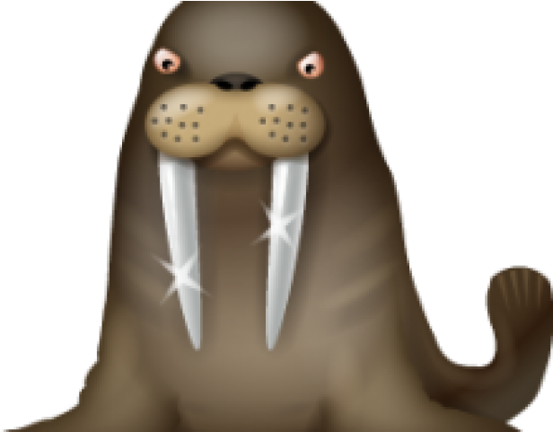 Walrus Clipart Transparent - Cartoon Walrus - Png Download - Large Size ...