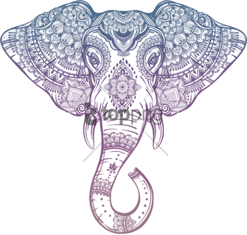 Free Png Tribal Elephant Head Outline Png Image With - Elephant Drawing ...