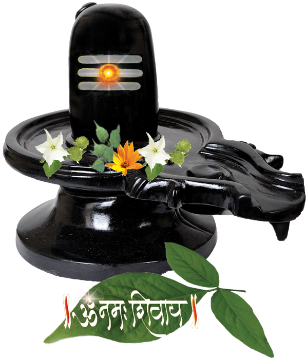 Download Brahma Kumaris Silicon Valley Invites You To Celebrate - Shiv ...