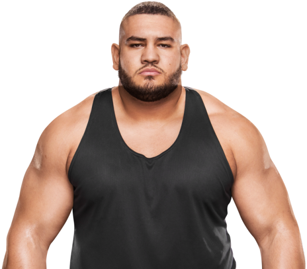 Rezar Wrestler - Rezar Wwe Clipart - Large Size Png Image - PikPng