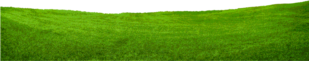 Download Pasto - Grass Clipart Png Download - PikPng
