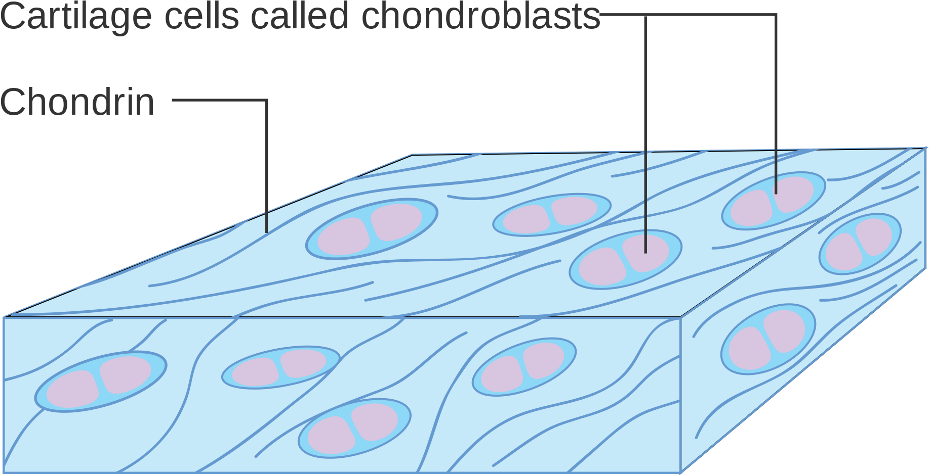 Bone Vs - Cartilage - Cartilage Cell Diagram Clipart - Large Size Png ...