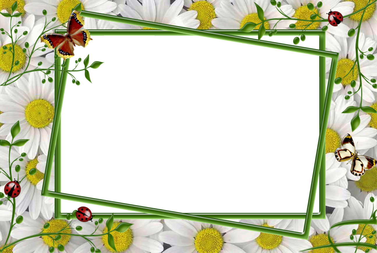 Photoshop Frames Images Hd Wallpaper Clipart - Large Size Png Image ...