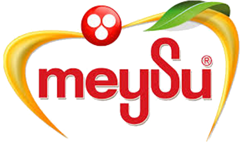Meysu Logo Clipart - Large Size Png Image - PikPng