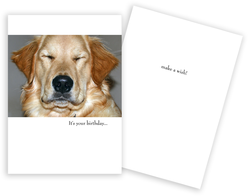 1747 - Golden Retriever Retirement Cards Clipart - Large Size Png Image ...