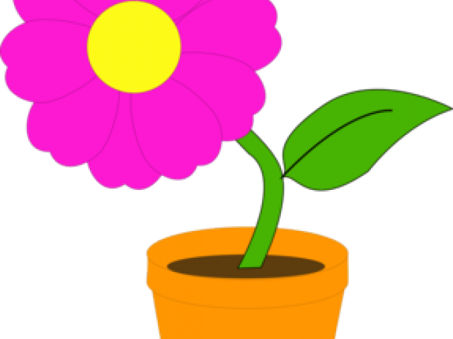 Flowerpots Clipart Bucket Flower - Cartoon Flower In A Pot - Png ...
