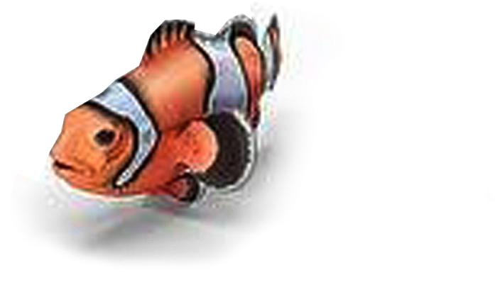Fish Png download - Figurine Clipart - Large Size Png Image - PikPng