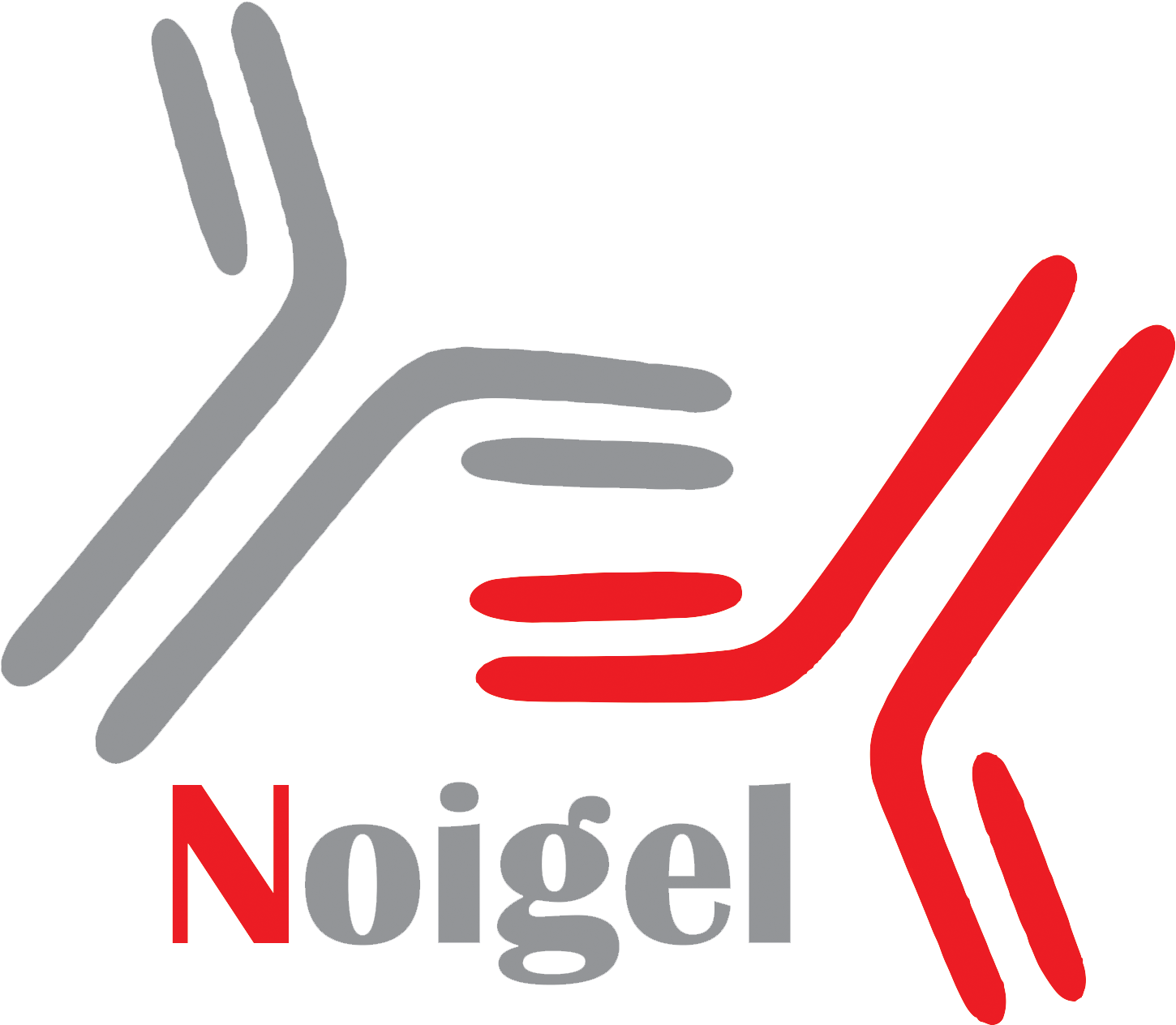 Download Noigel Logo Noigel Logo Noigel Logo Noigel Logo - Graphic ...