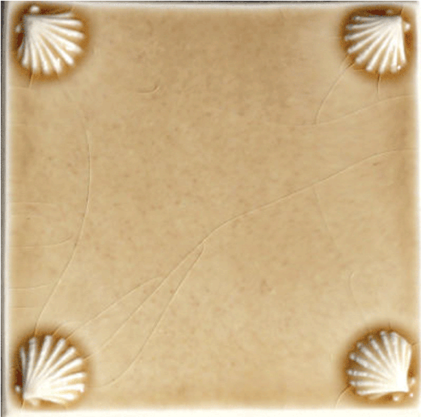 Download 447 Scallop Corner - Shell Clipart Png Download - PikPng