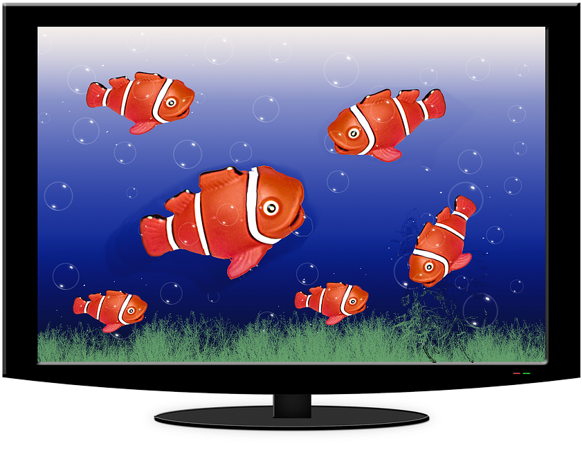 Aquarium, Tv, Fish, Water, Fish Swarm, Underwater World - Tv Fish ...