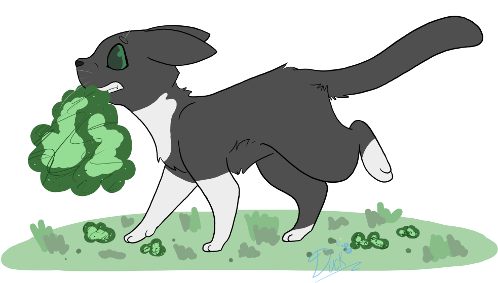 Cartoon Moss Png - Illustration Clipart - Large Size Png Image - PikPng