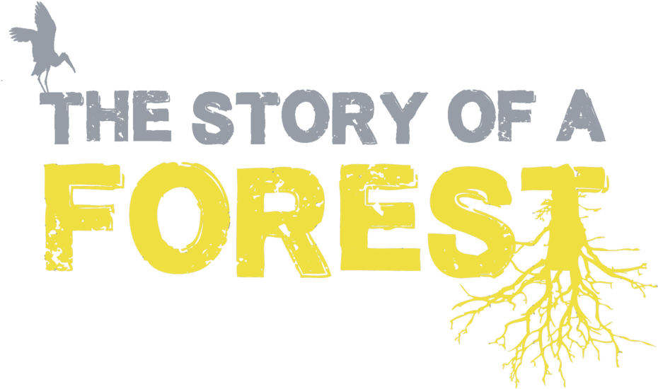 The Forest Logo Png - Graphic Design Clipart - Large Size Png Image ...