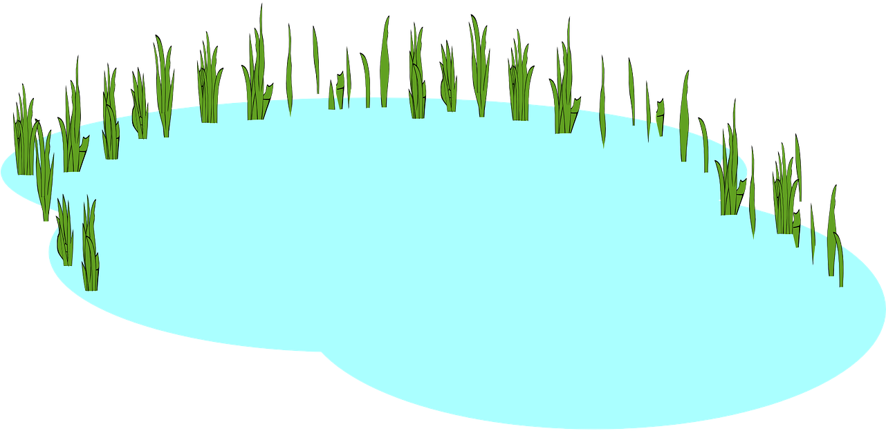 Pond Marsh Lake Water Swamp Png Image - Freshwater Clip Art Transparent ...