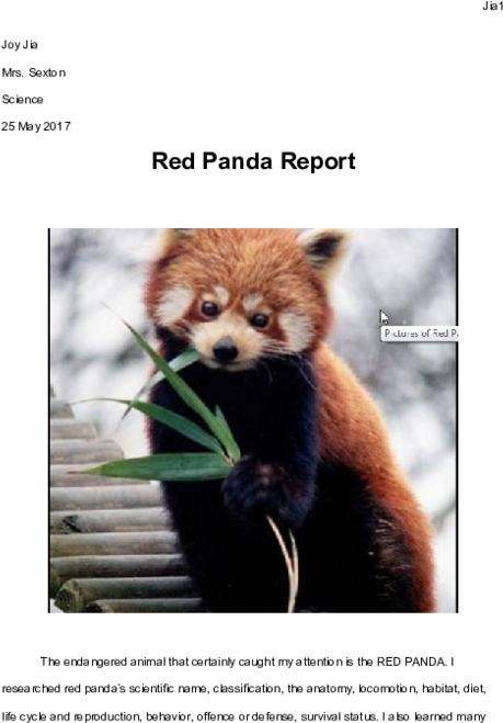 Docx - Physical Characteristics Of Red Panda Clipart - Large Size Png ...