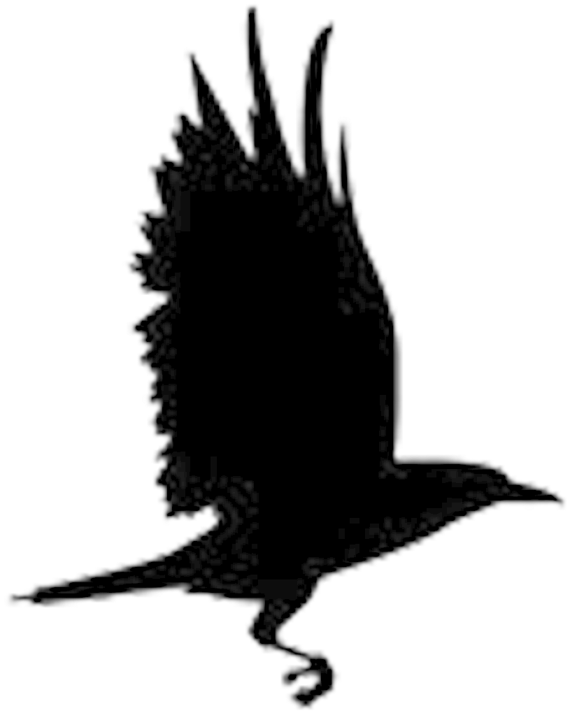 Raven Art Png - Raven New Hope Logo Clipart - Large Size Png Image - PikPng