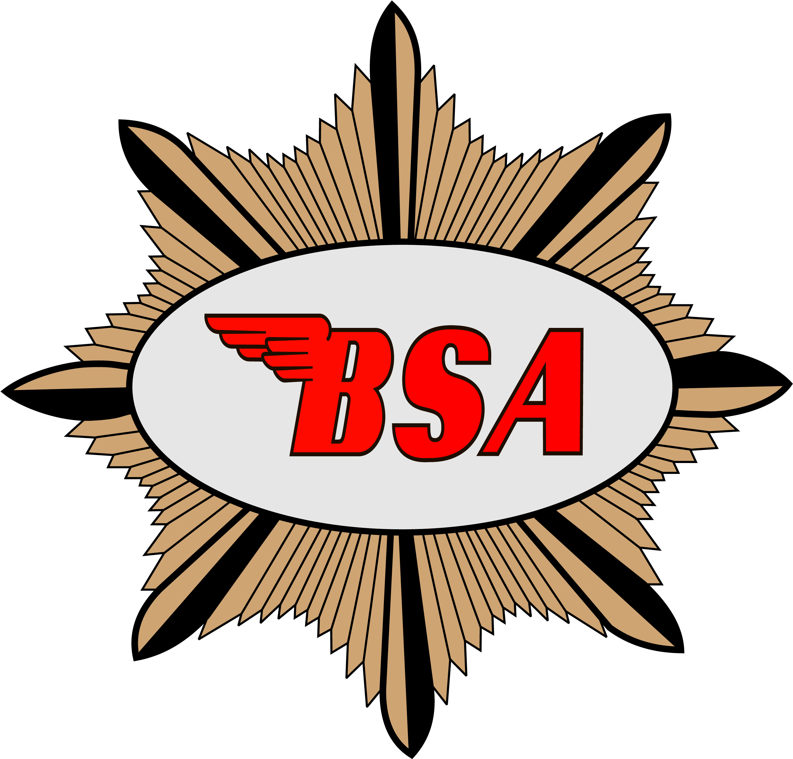 Bsa Logo Motorcycle Brands Png - Bsa Clipart - Large Size Png Image ...