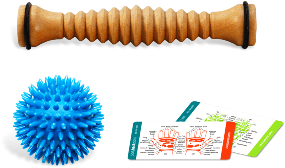 Body Back Clipart - Large Size Png Image - PikPng