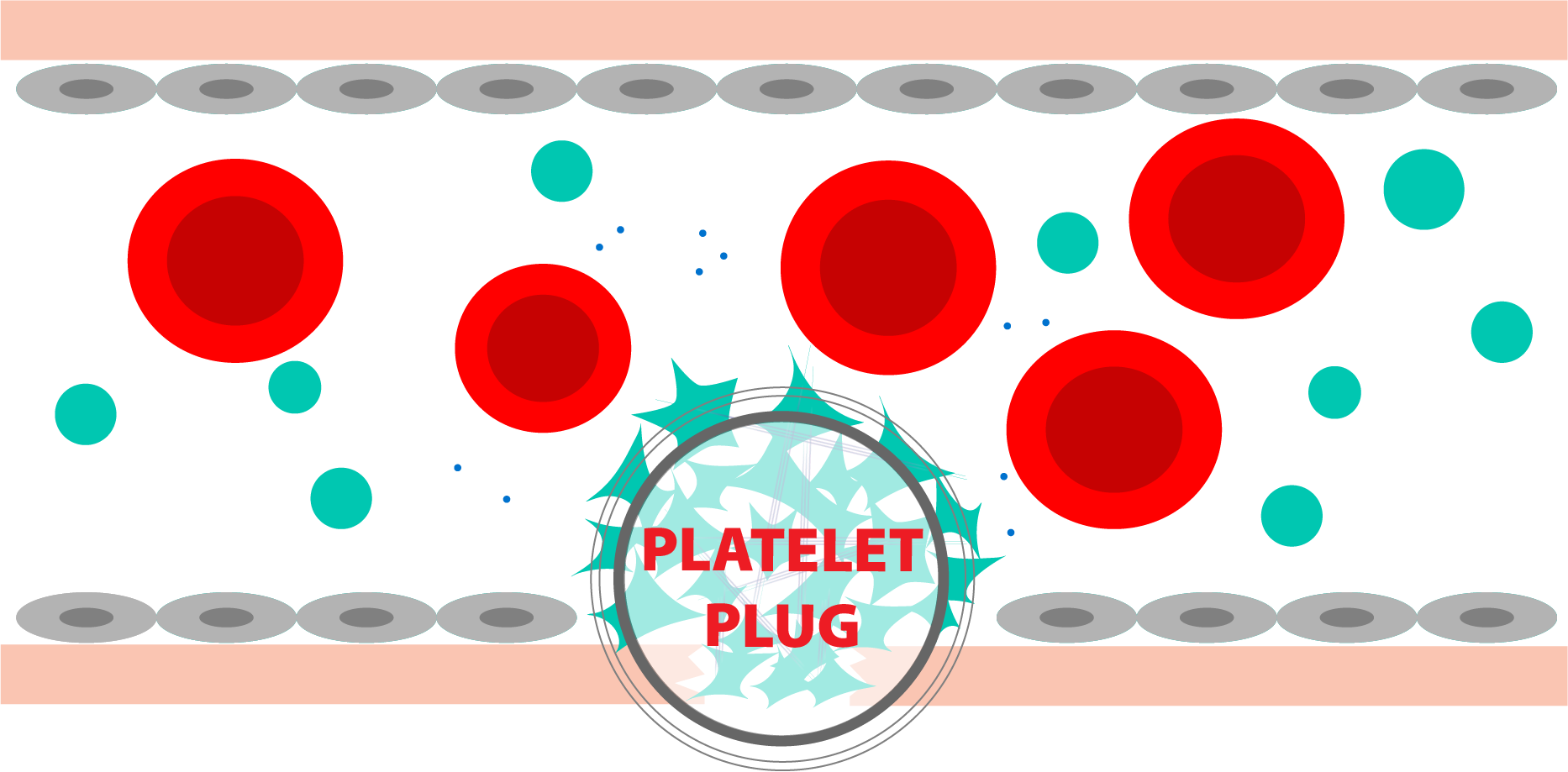 Therapeutic Focus - Circle Clipart - Large Size Png Image - PikPng