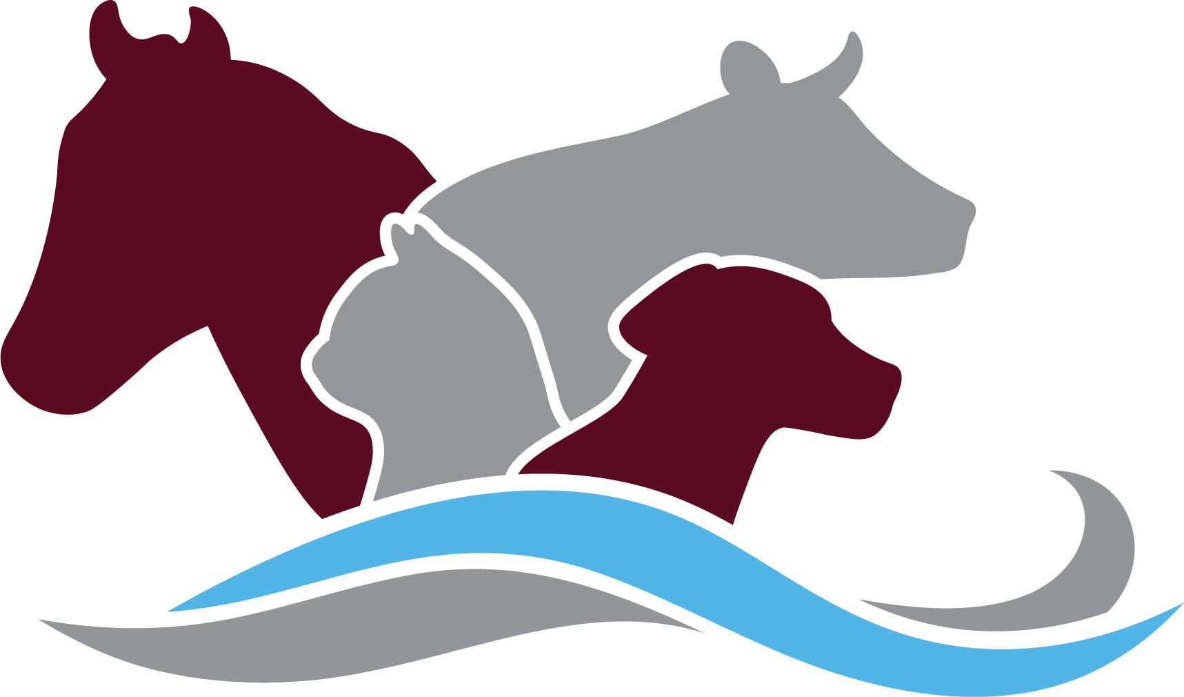 Round Optometry Logo - Illustration Clipart - Large Size Png Image - PikPng