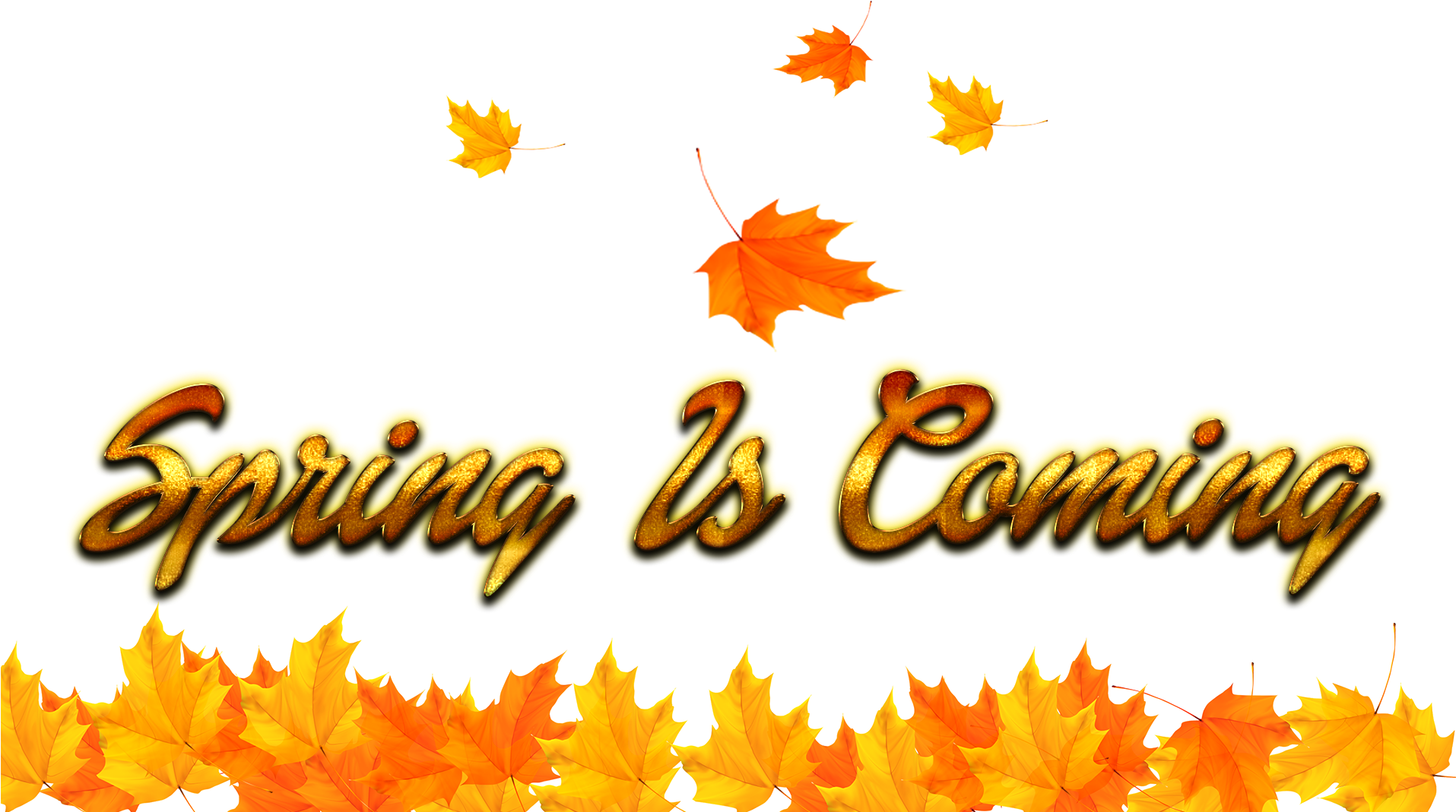 Illustration Clipart - Large Size Png Image - PikPng