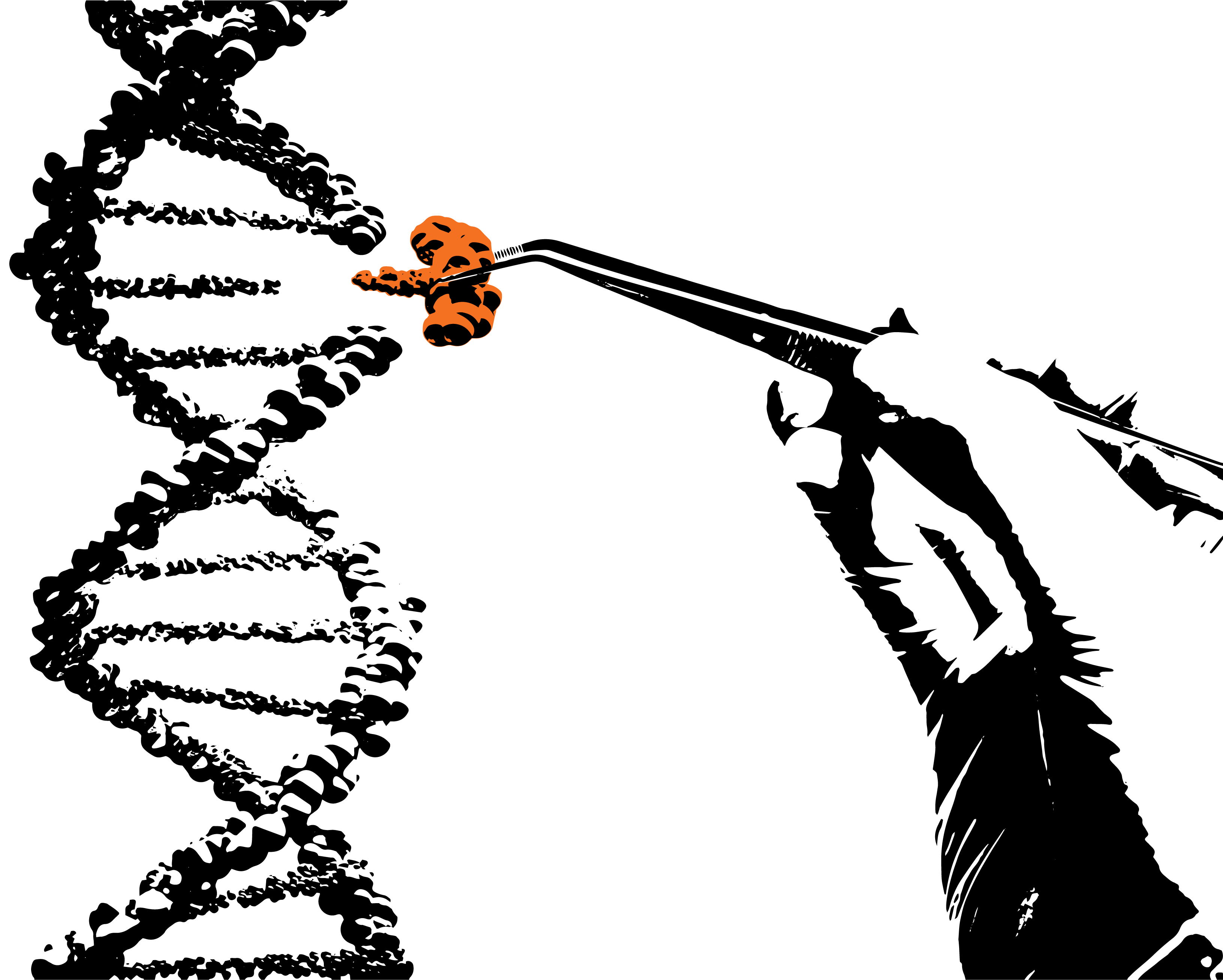 Impact Of Genomics On Insurers - Cancer Genetics Clipart - Large Size ...