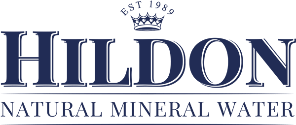 Blue Variant - Hildon Logo Png Clipart - Large Size Png Image - PikPng