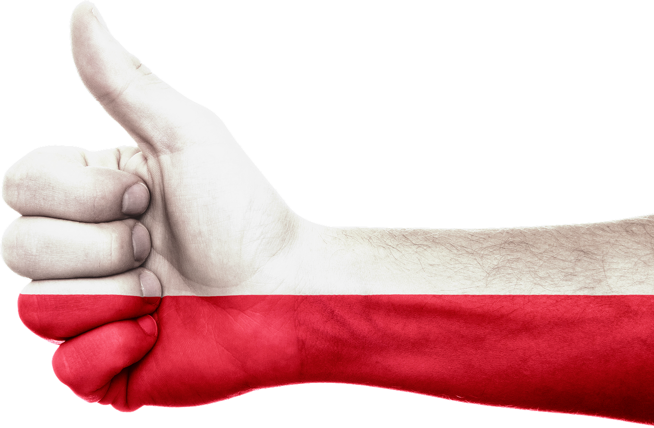 Poland Hand Flag Patriotic Png Image - Gesture Clipart - Large Size Png ...