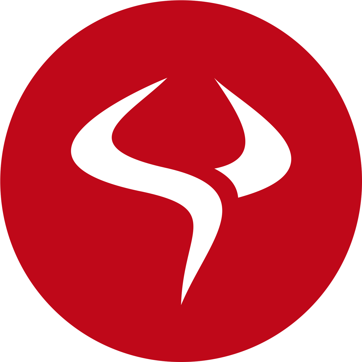 Tiny Bull Studios - Circle Clipart - Large Size Png Image - PikPng