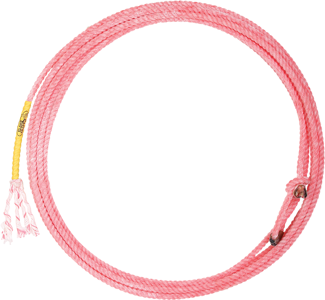 Cactus Ropes Cactus Shockwave - Circle Clipart - Large Size Png Image ...