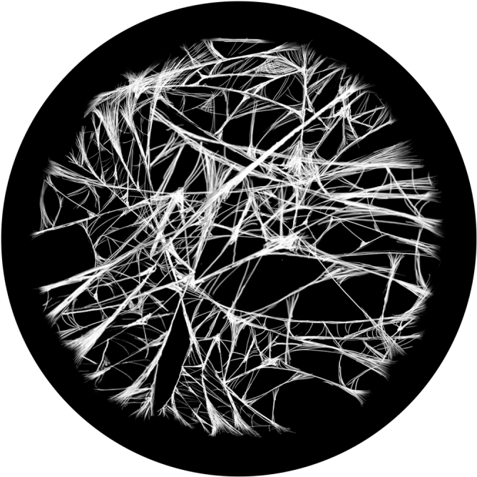 Spider Web - Circle Clipart - Large Size Png Image - PikPng