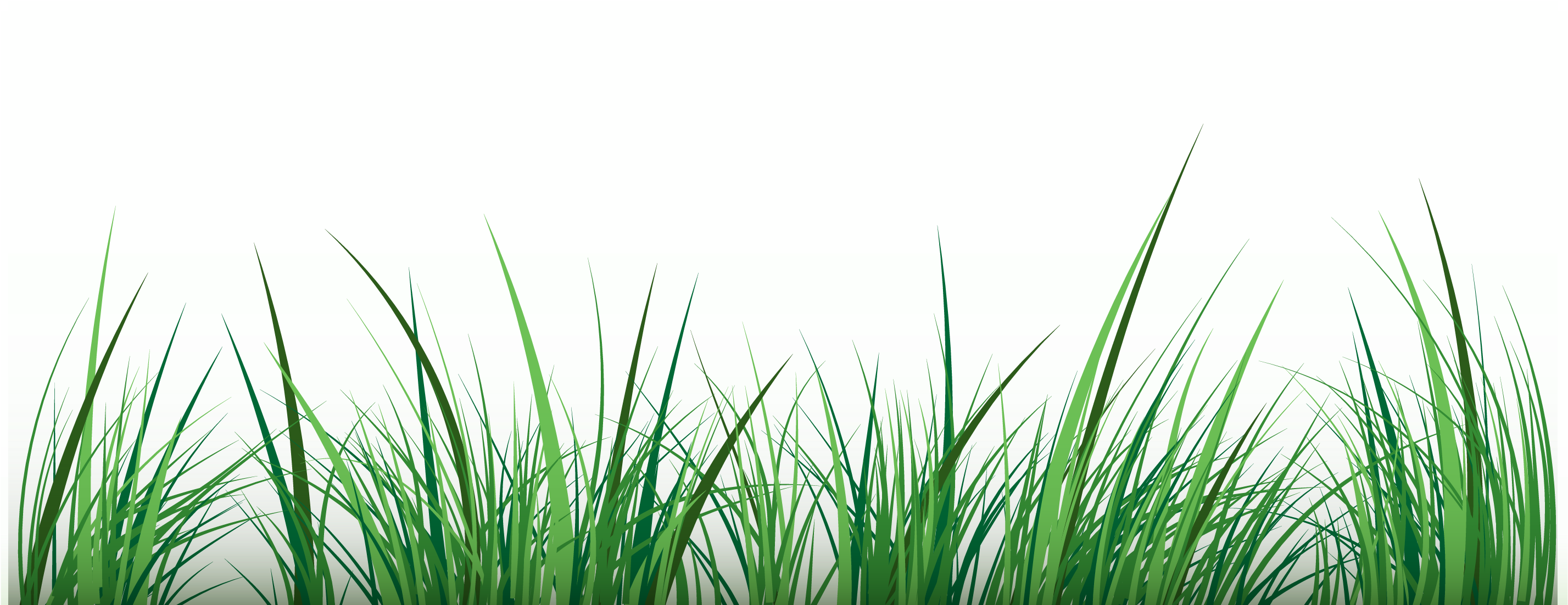Grass Vector Png - Grass Vector Image Png Clipart - Large Size Png Image - PikPng