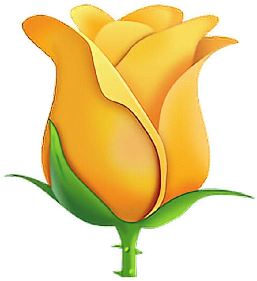 #emoji #emojisticker #sticker #sticker #yellowrose - Transparent White ...