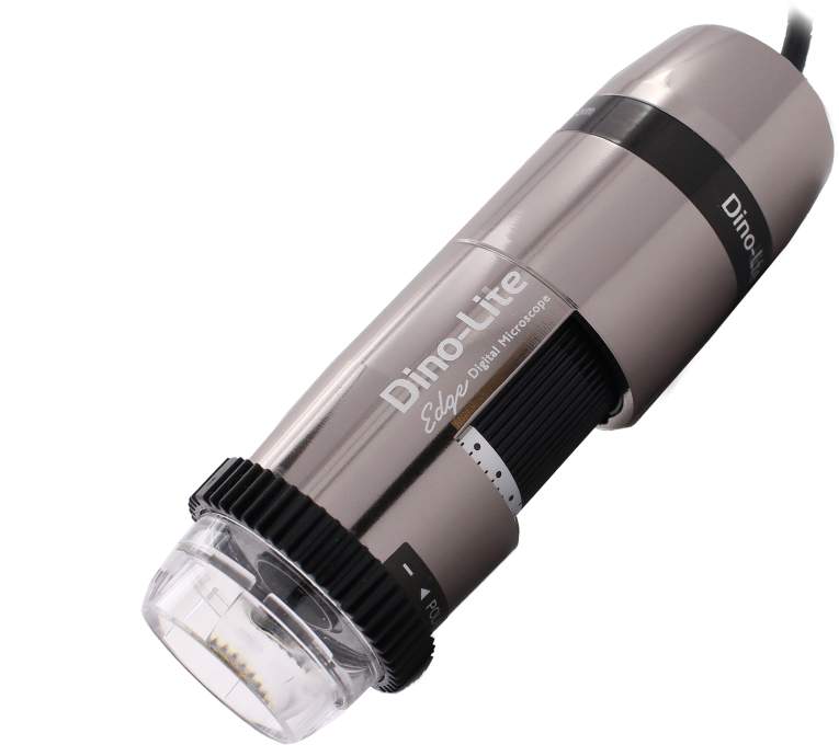 Dino-lite Clipart - Large Size Png Image - PikPng