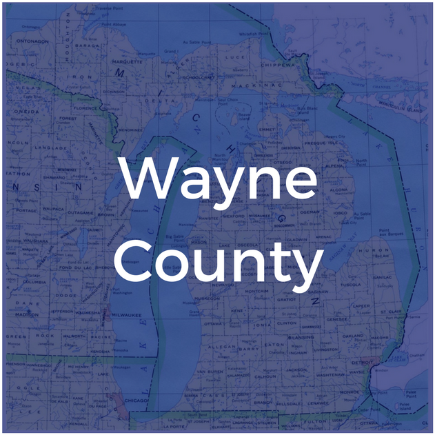 Waynecounty - Poster Clipart - Large Size Png Image - PikPng