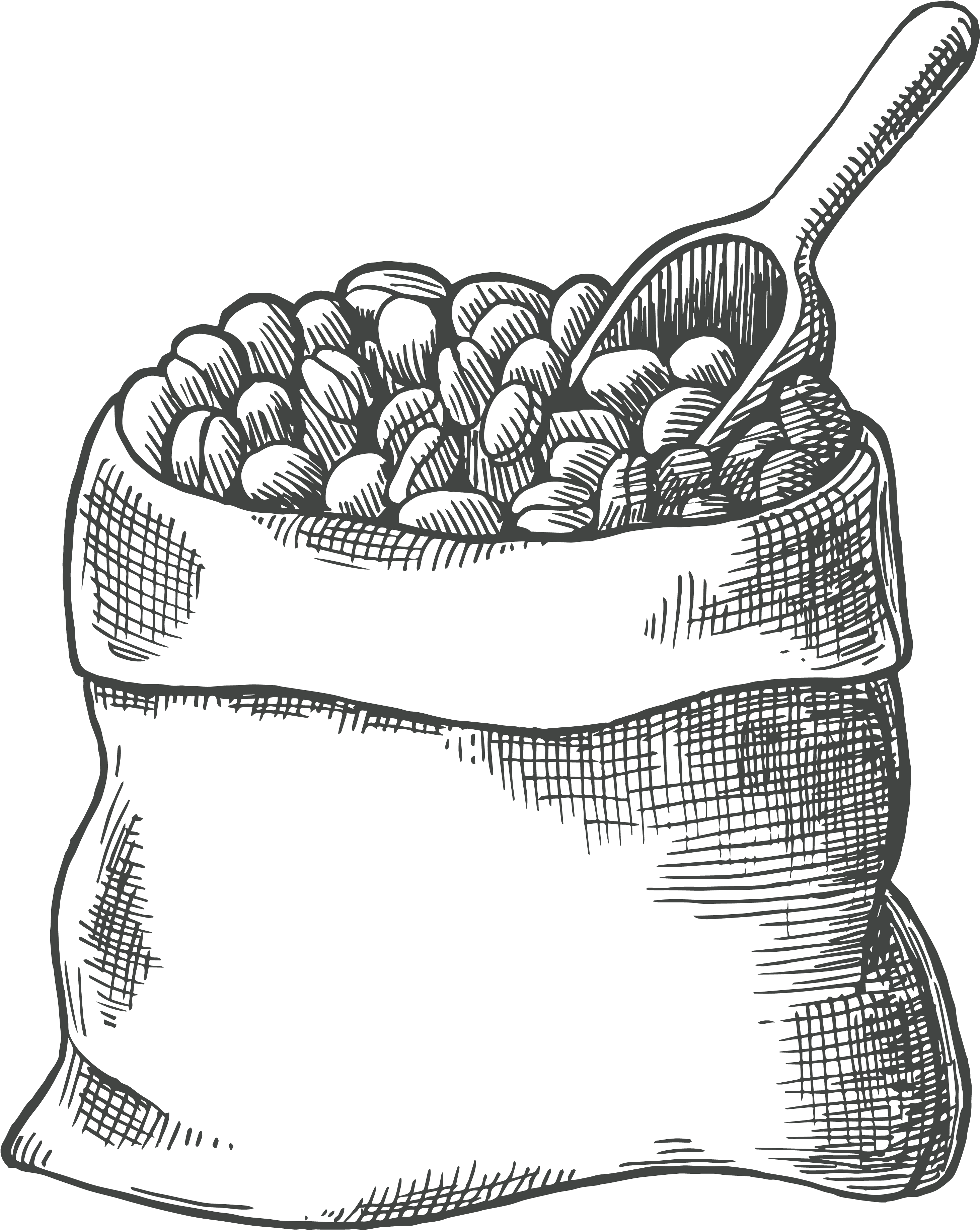 Coffee Bean Drawing Png Clipart - Large Size Png Image - PikPng